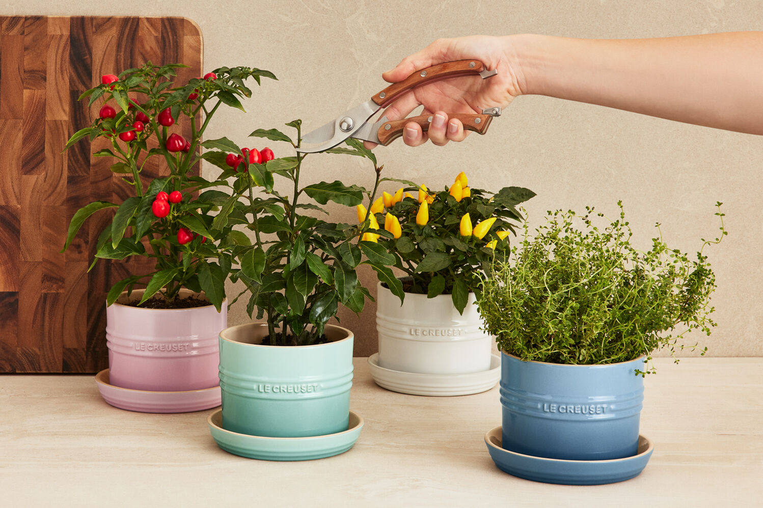 Le Creuset | Dutch Oven, Skillet, Cast Iron Cookware