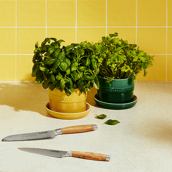 Guide to Growing & Cooking with Herbs | Le Creuset Canada