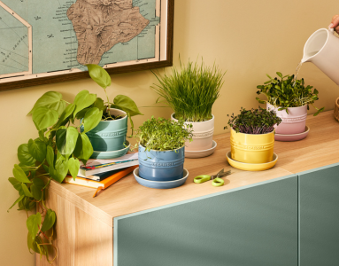 What is a Sauteuse? - Definition of a Sauteuse | Le Creuset